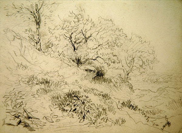 Welsh Landscape by David Cox: Buy fine art print