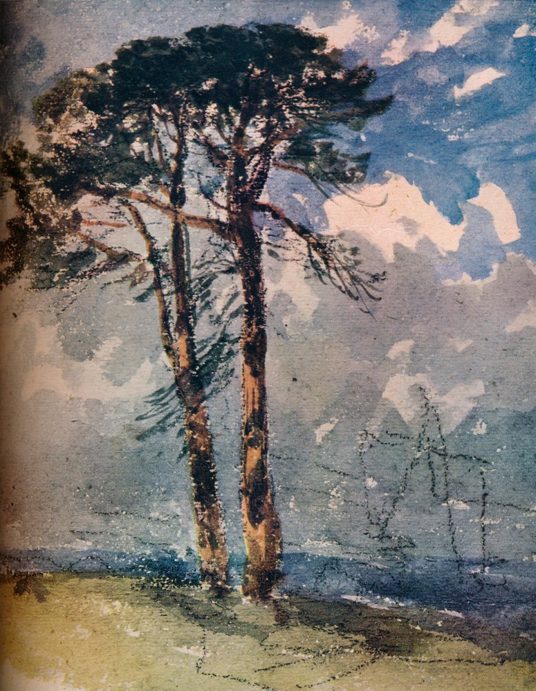 Scotch Firs by David Cox the elder: Buy fine art print