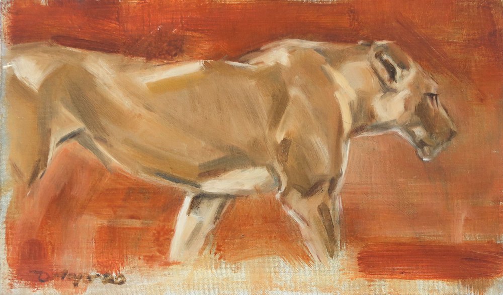 Lioness, 2019 by David Mayer: Buy fine art print