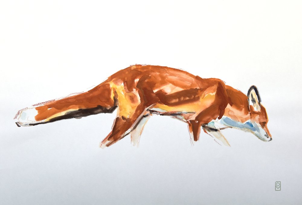 Red Fox, 2020 by David Mayer: Buy fine art print