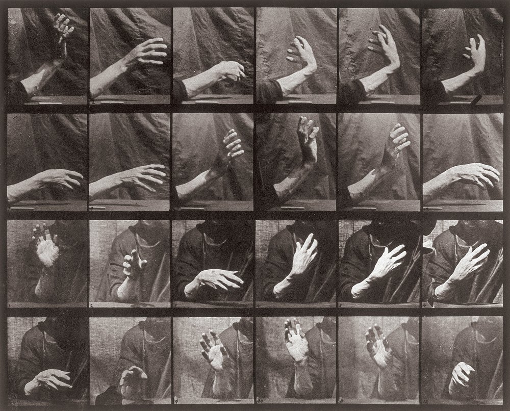 Sequence with Hand Movement, Plate 535 from Animal Locomotion