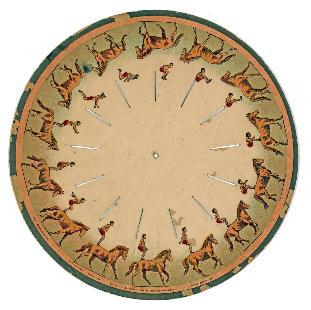 Zoopraxiscope Disc Showing an Acrobat Performing a Horse Back ...