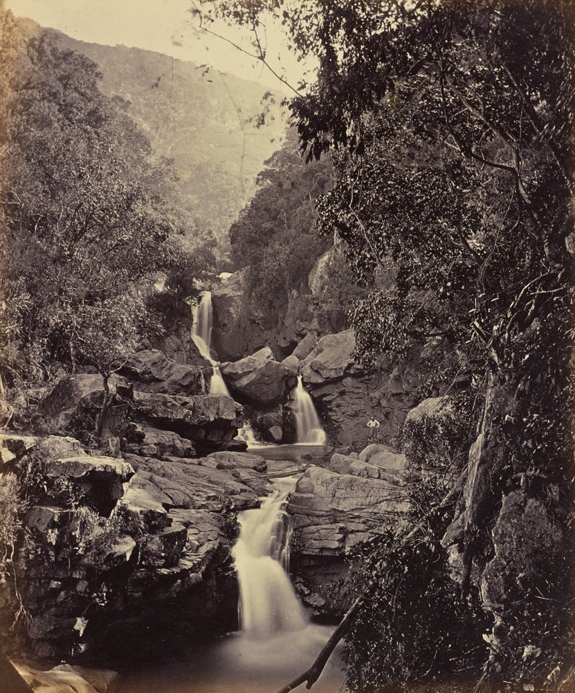 Falls of Light, Coonoor Ghant by Edmund David Lyon
