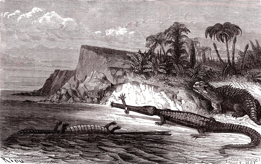 The Teleosaurus and the Hyleosaurus by Edouard Riou