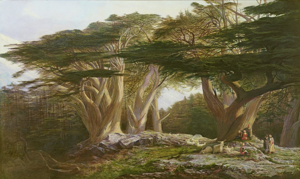 The Cedars of Lebanon by Edward Lear: Buy fine art prints