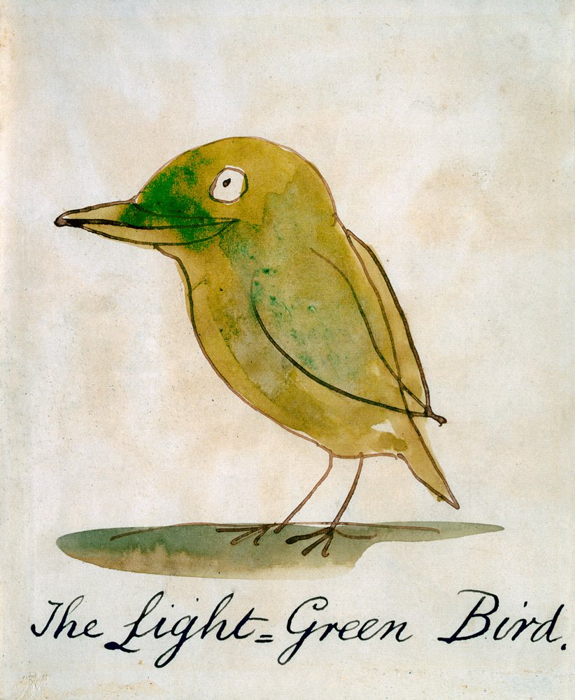 The Light Green Bird, from 'Sixteen Drawings of Comic Birds'