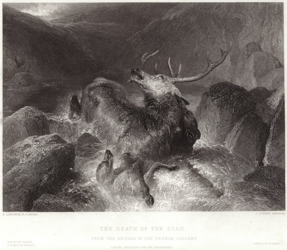The Death of the Stag by Edwin Landseer: Fine art print