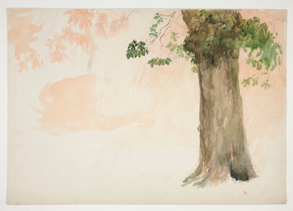 Study of a Tree Trunk by Edwin Austin Abbey