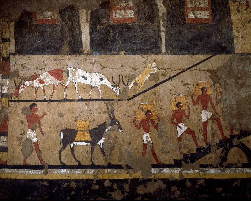 Egyptian Antiquity: The Transport of Wheat on the Back of Mules and on ...