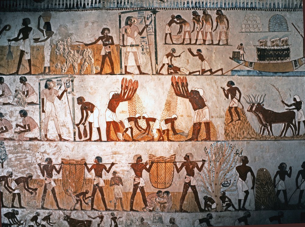 Harvesting Scene, Mural Painting in the Tomb of Menna at Elwet, c. 1400 BC