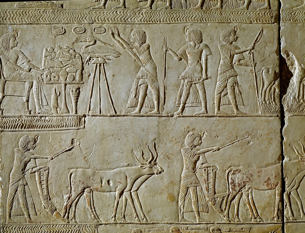 Egyptian antiquity: scenes of work in the fields and offerings to the ...