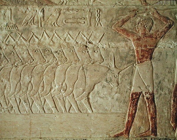 Relief Depicting a Drover Encouraging a Group of Cattle, from the ...