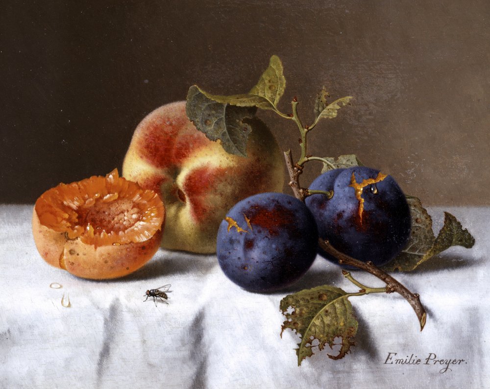 Still Life of Peaches and Rotten Plums by Emilie Preyer