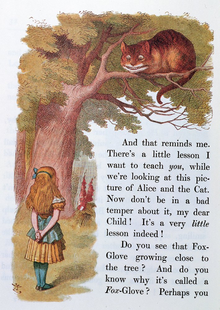 Alice and the Cheshire Cat, Illustration from 'Alice in Wonderland ...