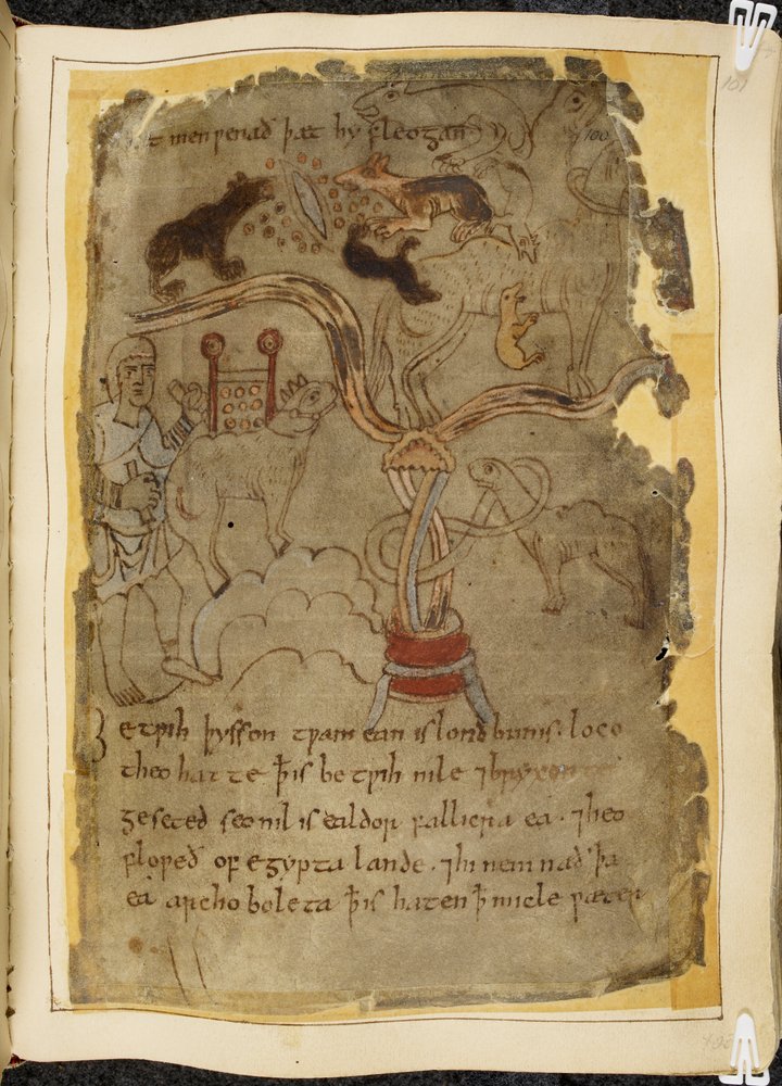 Three dog-like ants attacking a tethered camel, man in a tunic ...