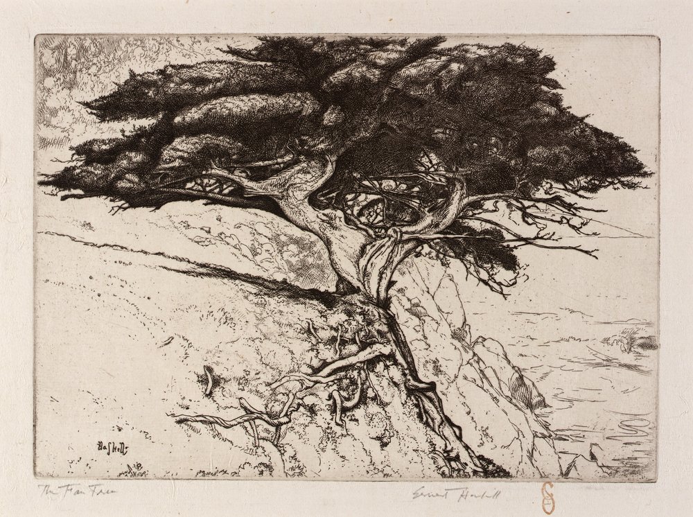 The Fan Tree by Ernest Haskell: Premium art reproduction
