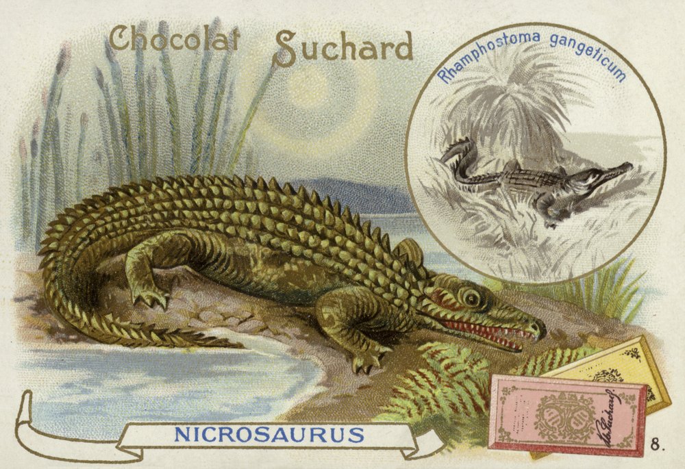 Nicrosaurus and crocodile by European School
