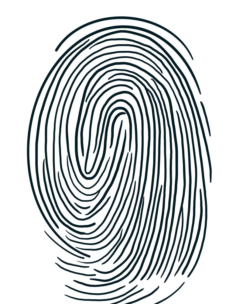 Drawing of a Fingerprint, Brooklyn by Evan Sklar
