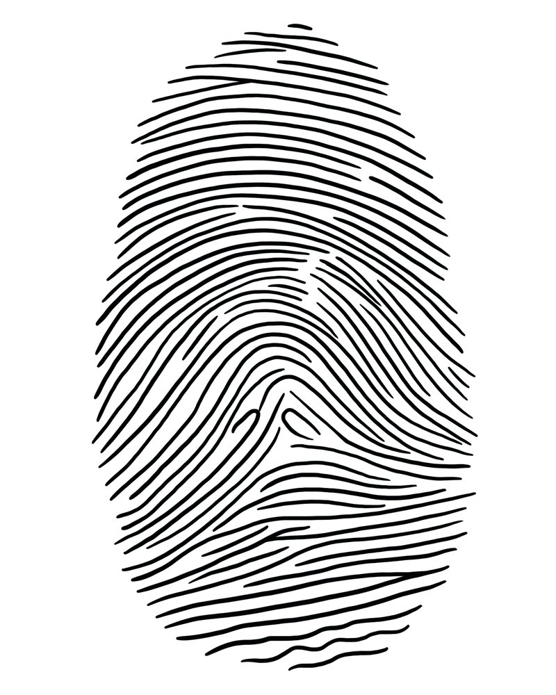 Drawing of a Fingerprint, Brooklyn by Evan Sklar