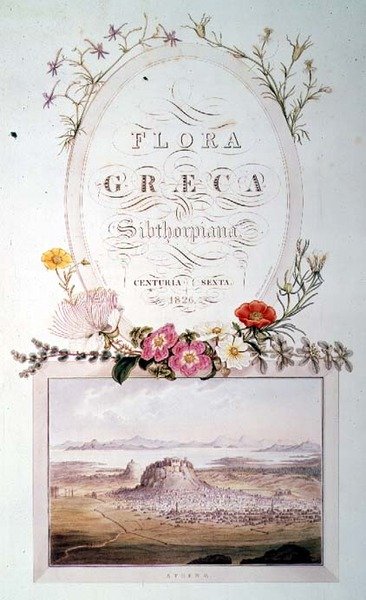 Title Page to Volume 6 of 'Flora Graeca Sibthorpiana'