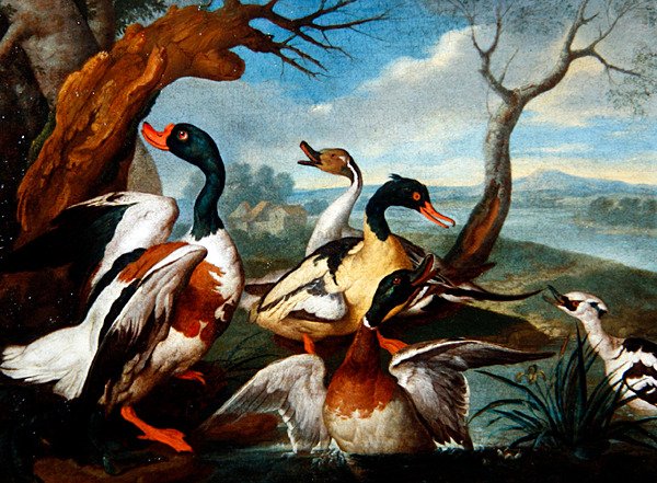 Ducks in a River Landscape by Ferdinand Phillip de Hamilton