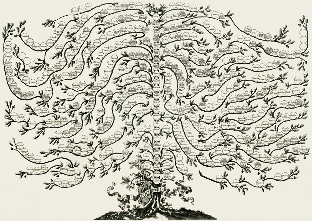 Marsciano Ughelli Family Tree by Ferdinando Ughelli