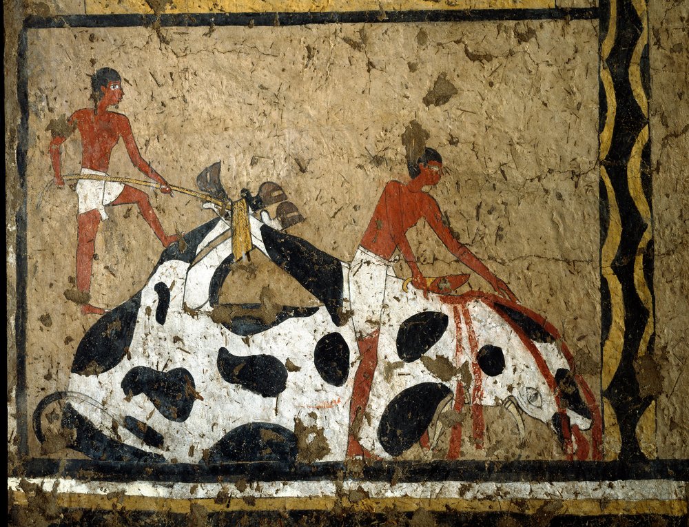 Egyptian antiquity: a bull is sacrificed before a sarcophagus. Tempera ...