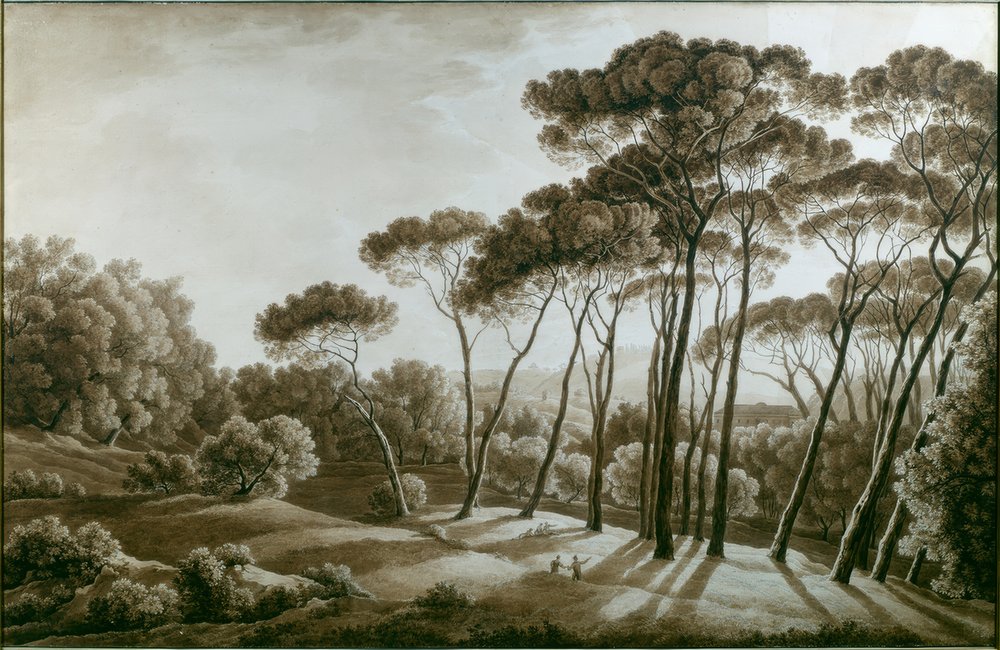 The Pine Trees of the Villa Doria Pamphili