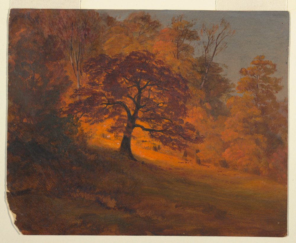 Autumn Foliage by Frederic Edwin Church: Buy fine art prints