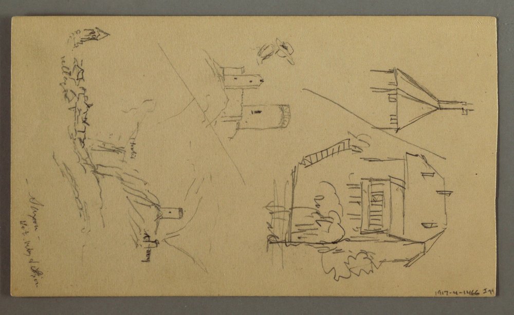 Plant Studies, Plant-Notes, Waterfall, 1868