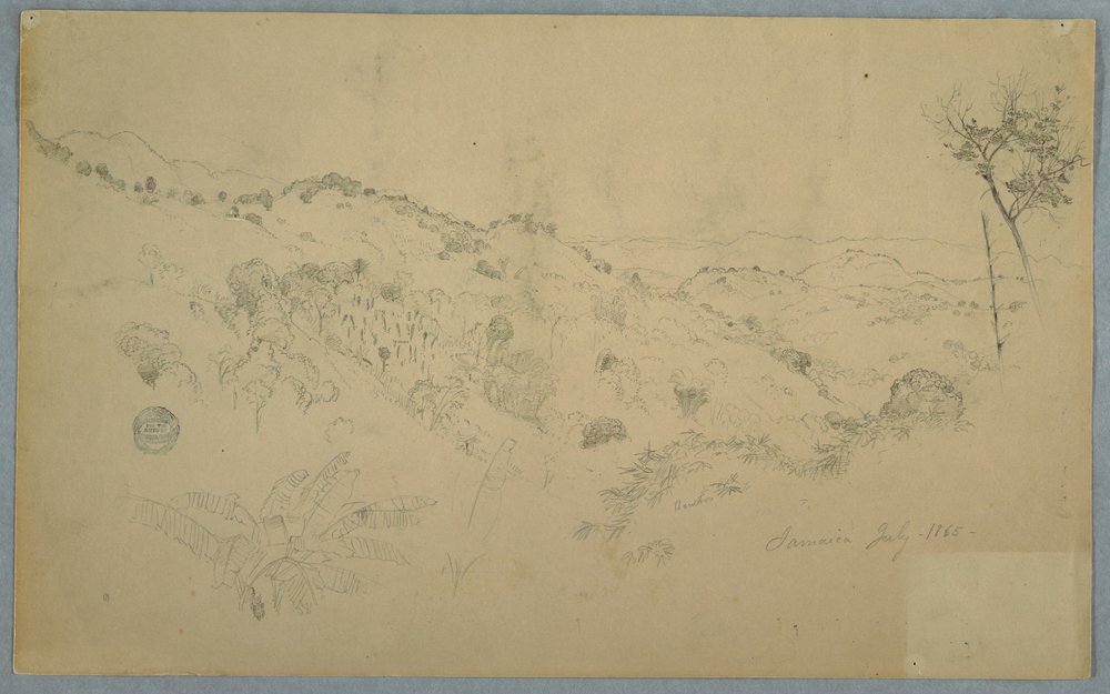 Drawing, Wooded Vale with a Large Fern and Distant Mountain Ranges ...