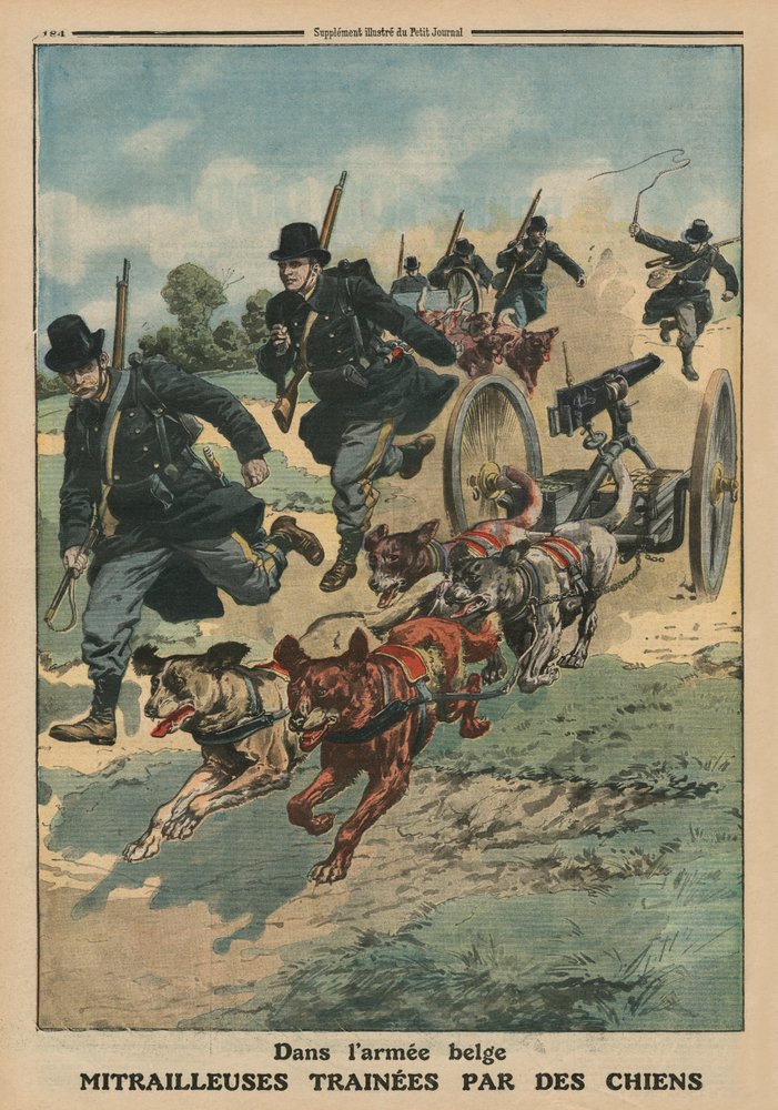 In the Belgian Army, Machine Guns Pulled by Dogs, Front Cover ...