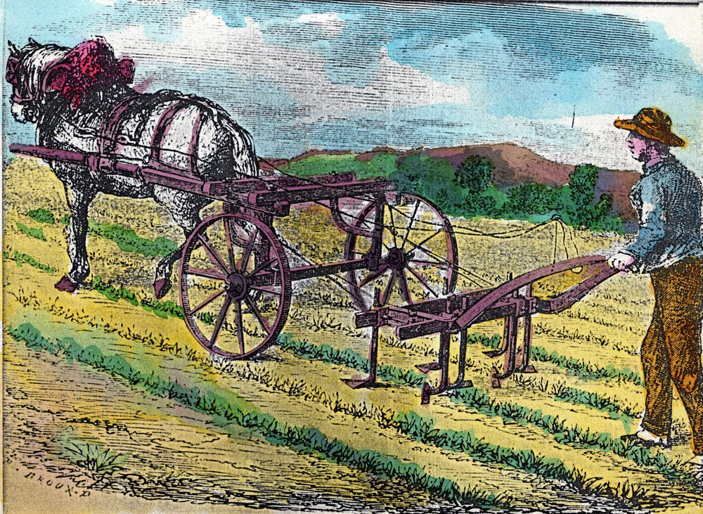 One of the first mechanical hoeing machines, with animal traction, used ...