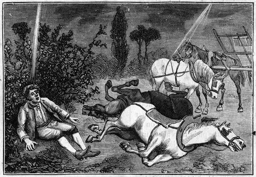 Lightning: A man finds sitting under a bush beside his four killed horses