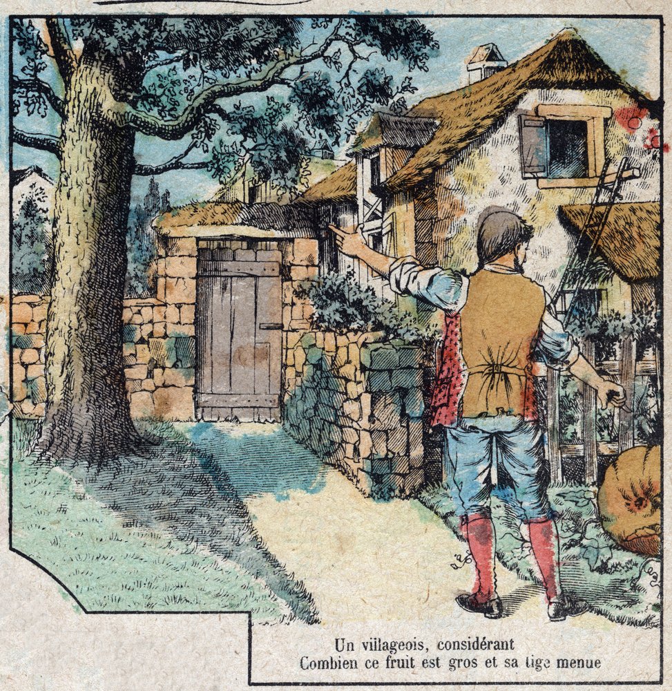 The Acorn and the Pumpkin. Fables by Jean de La Fontaine (1621-95 ...