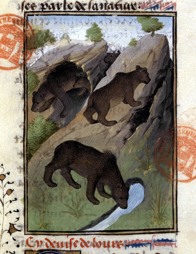 The bear, from 'The Hunting Book of Gaston Phoebus, Count of Foix, Lord ...