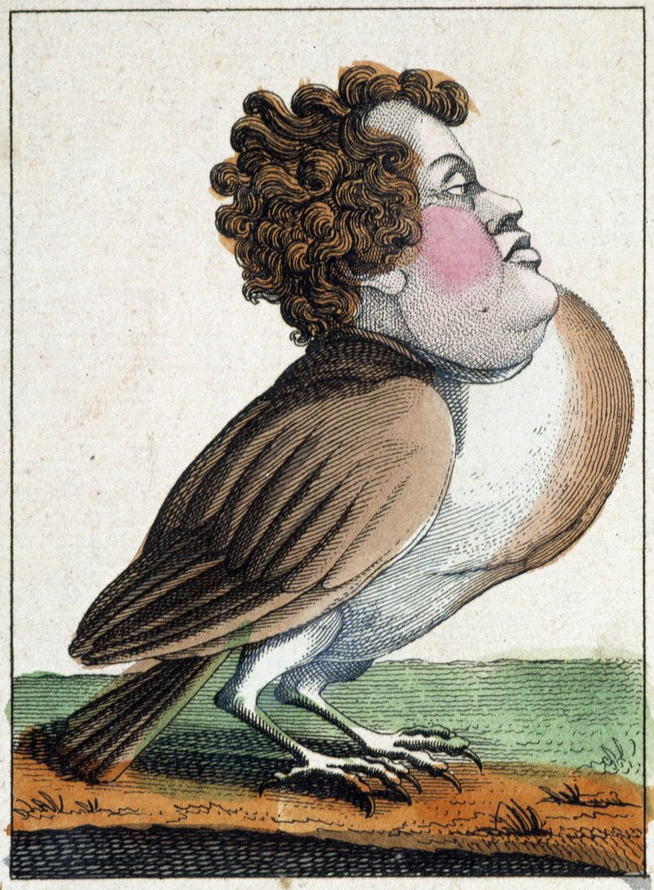 The Pigeon in Caricature, study of character 'volatile character', 19th ...