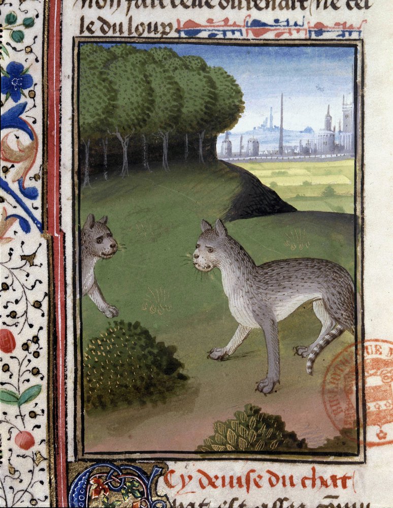 Wild cats, from 'Hunting Book of Gaston Phoebus, Count of Foix, Lord of ...
