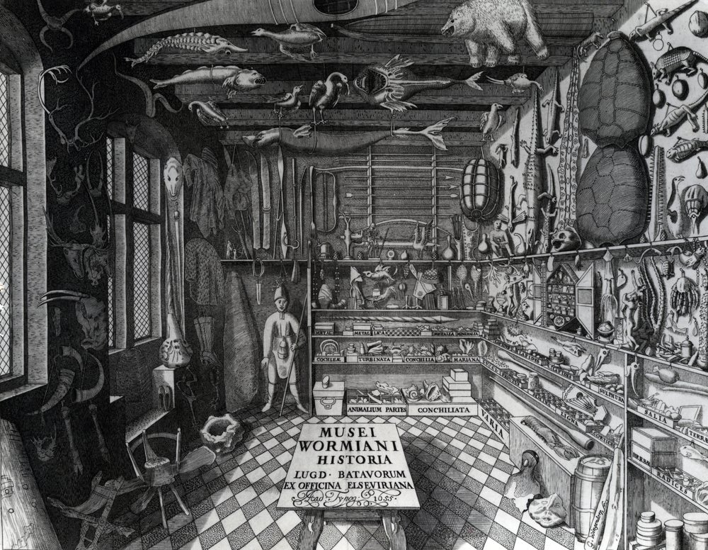 Frontispiece of Ole Worm's cabinet of curiosities from 'Museum ...