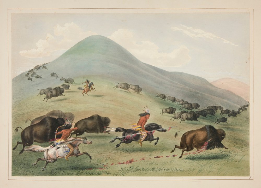 Buffalo Hunt, Chase, pl. 6 from the North American Indian Portfolio