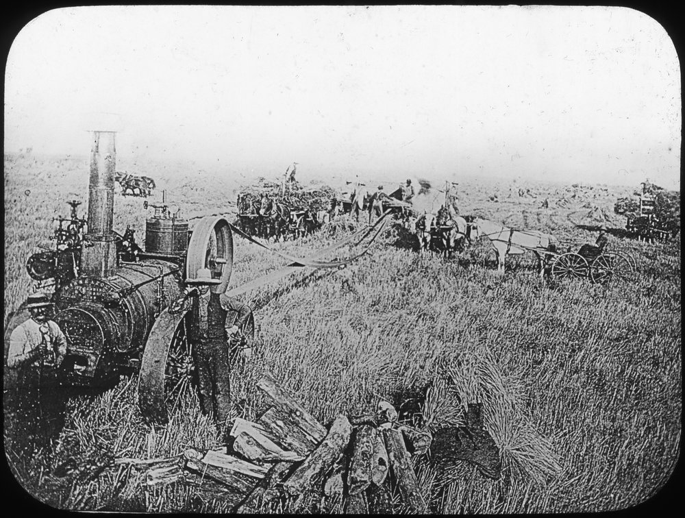 Harvest Scene on the North American Prairies, Late 19th or Early 20th ...