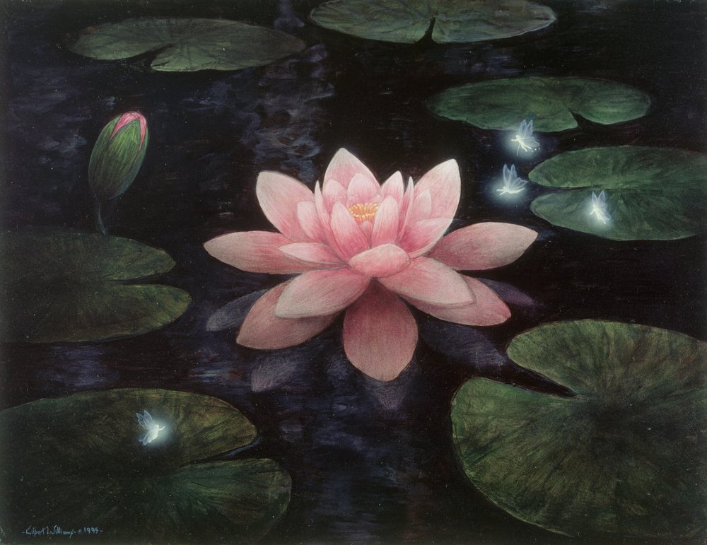 Lotus Sprites by Gilbert Williams: Buy fine art print