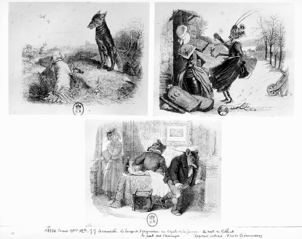 Illustration for 'The Wolf and the Lamb', 'The Cicada and the Ant' and ...