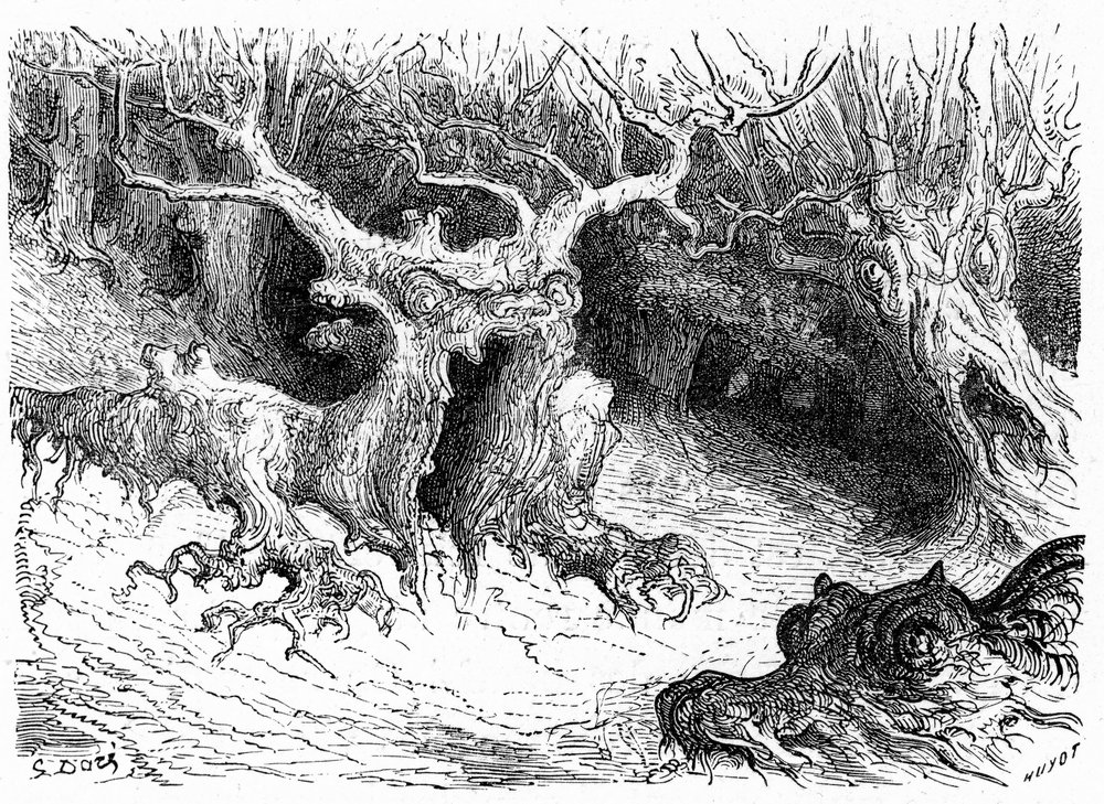 Monstrous Beech in the Ossau Valley, Antropomorphic Monster Trees ...