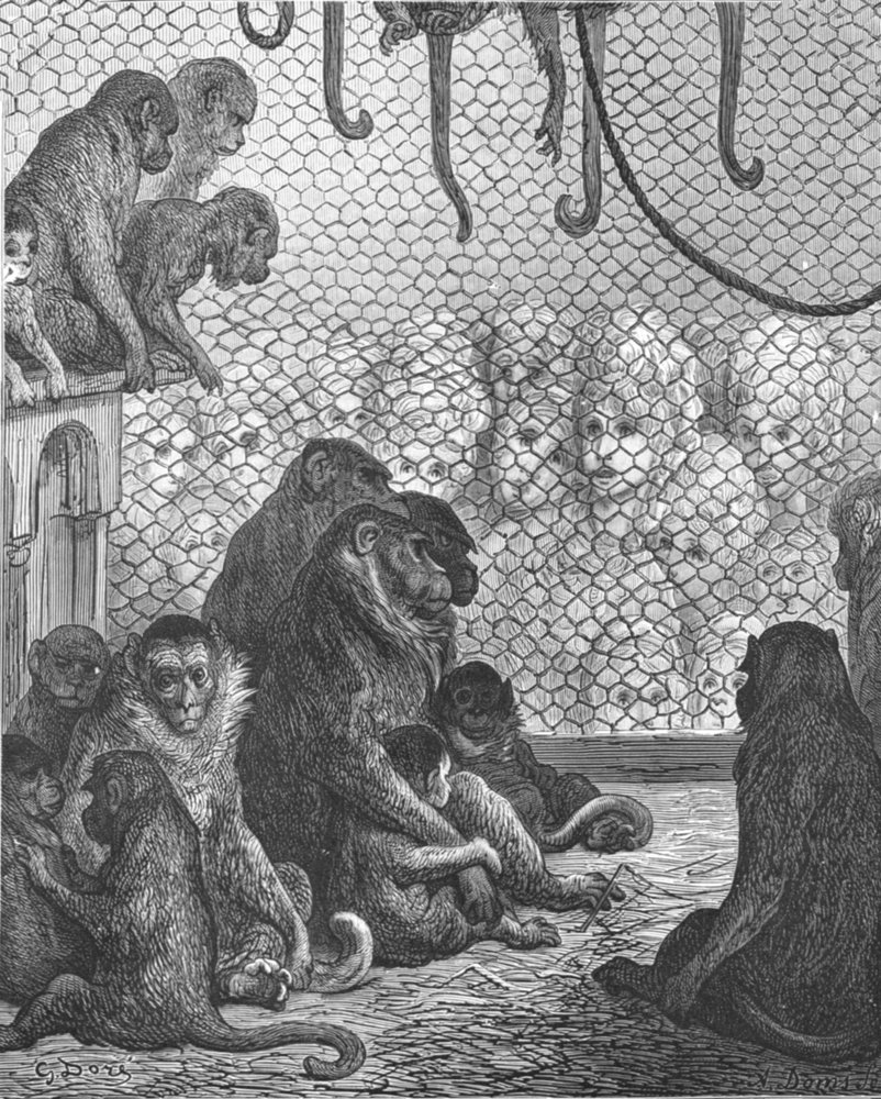 Zoological Gardens - The Monkey House by Gustave Dore