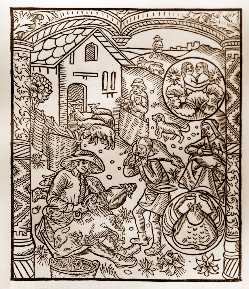 Shepherd's calendar - The Labours of the Months - June