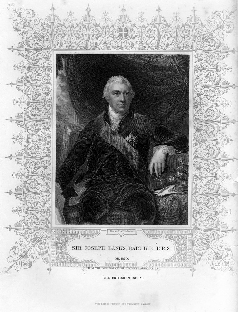 Sir Joseph Banks, English naturalist, botanist and science patron