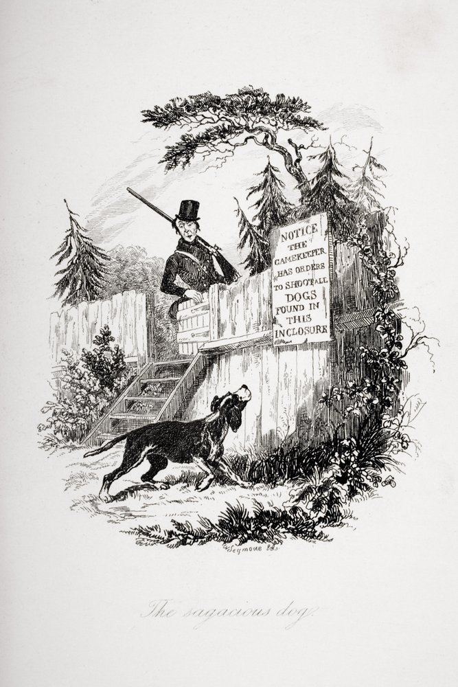 The sagacious dog, illustration from 'The Pickwick Papers' by Charles ...