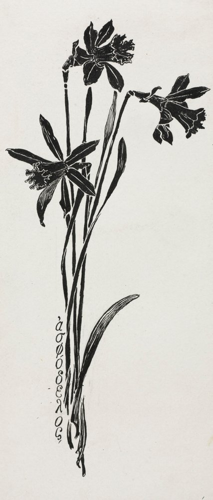Daffodils by Harry Fenn: Highest-quality art reproduction