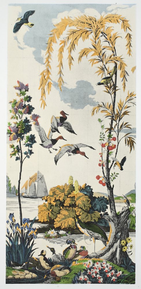 Magnum Opus: Canvasbacks by Harry Wearne: Fine art print